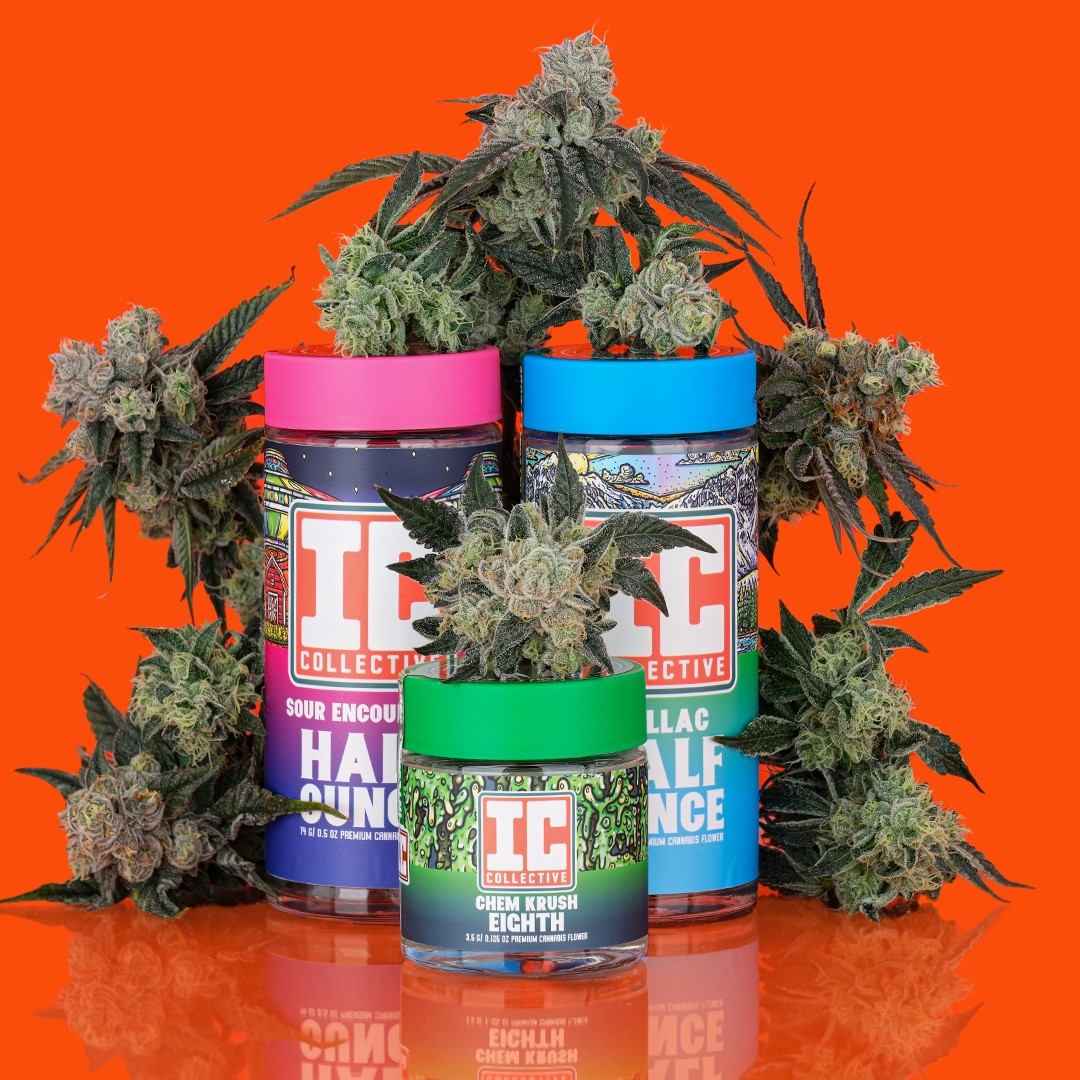 Pheno Hunt #007 | IC Collective | Premium Flower - Jane