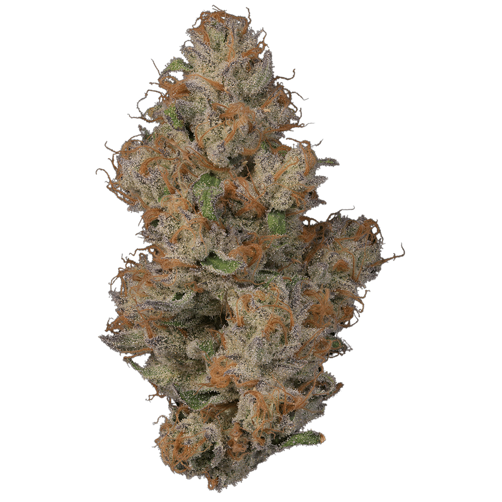 Pacific Cool [2.83g] | Klutch Cannabis | Flower - Jane