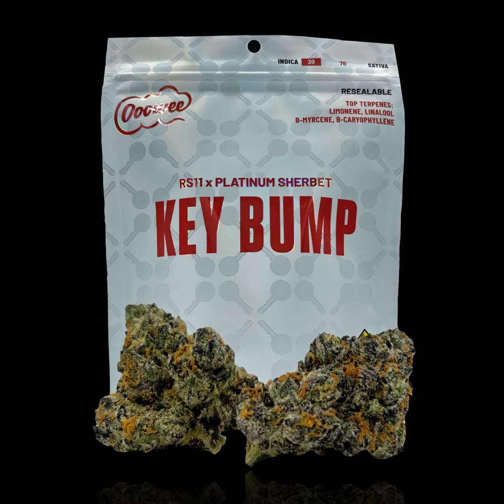 Key Bump | Ooowee | Premium Indoor Flower - Jane