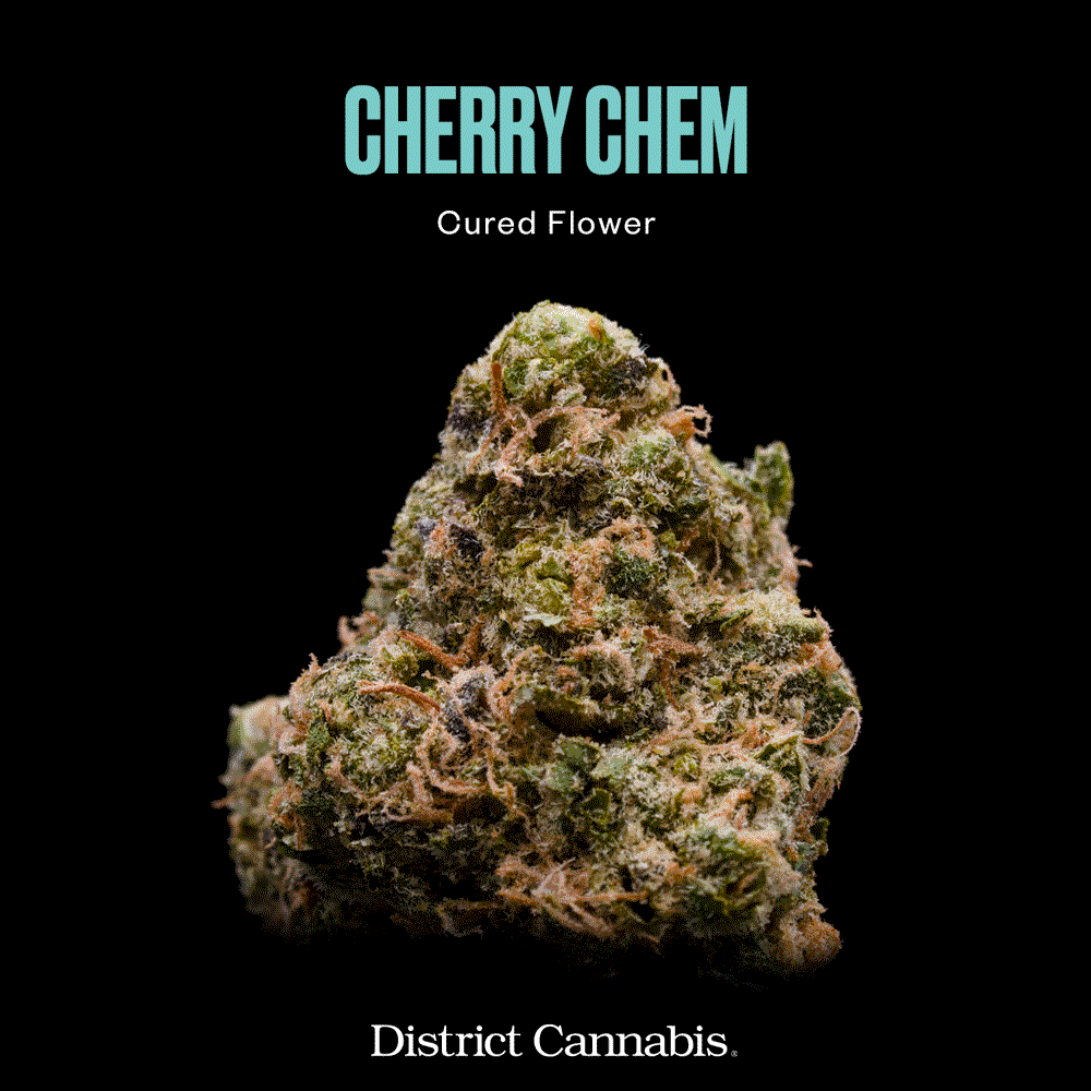 Cherry Chem District Cannabis Jane