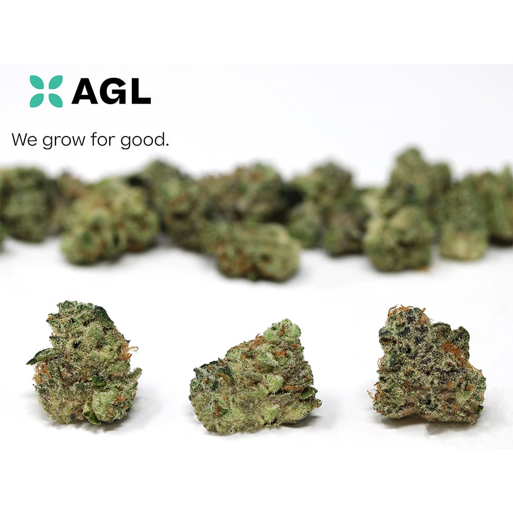 Rythm 14g Mixed Buds Jet Fuel (H) 00853 undefined - Connecticut ...