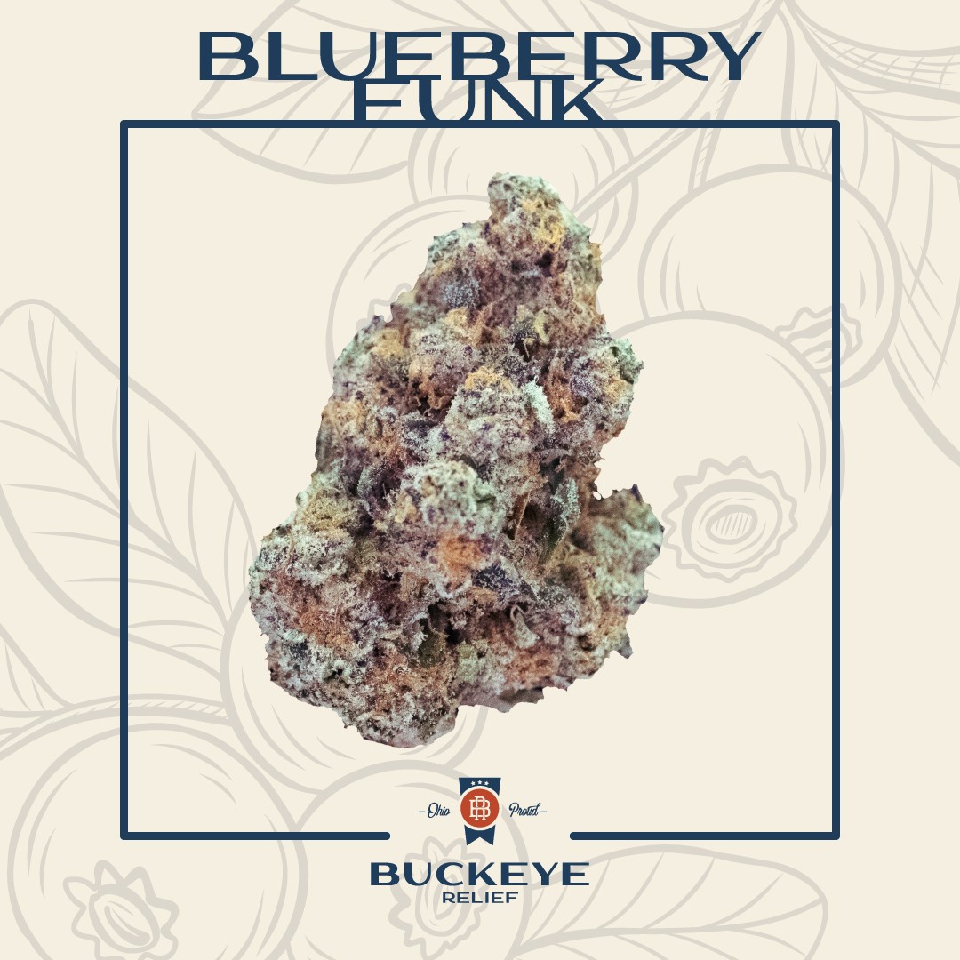 Blueberry Funk [2.83g] | Buckeye Relief | Flower - Jane