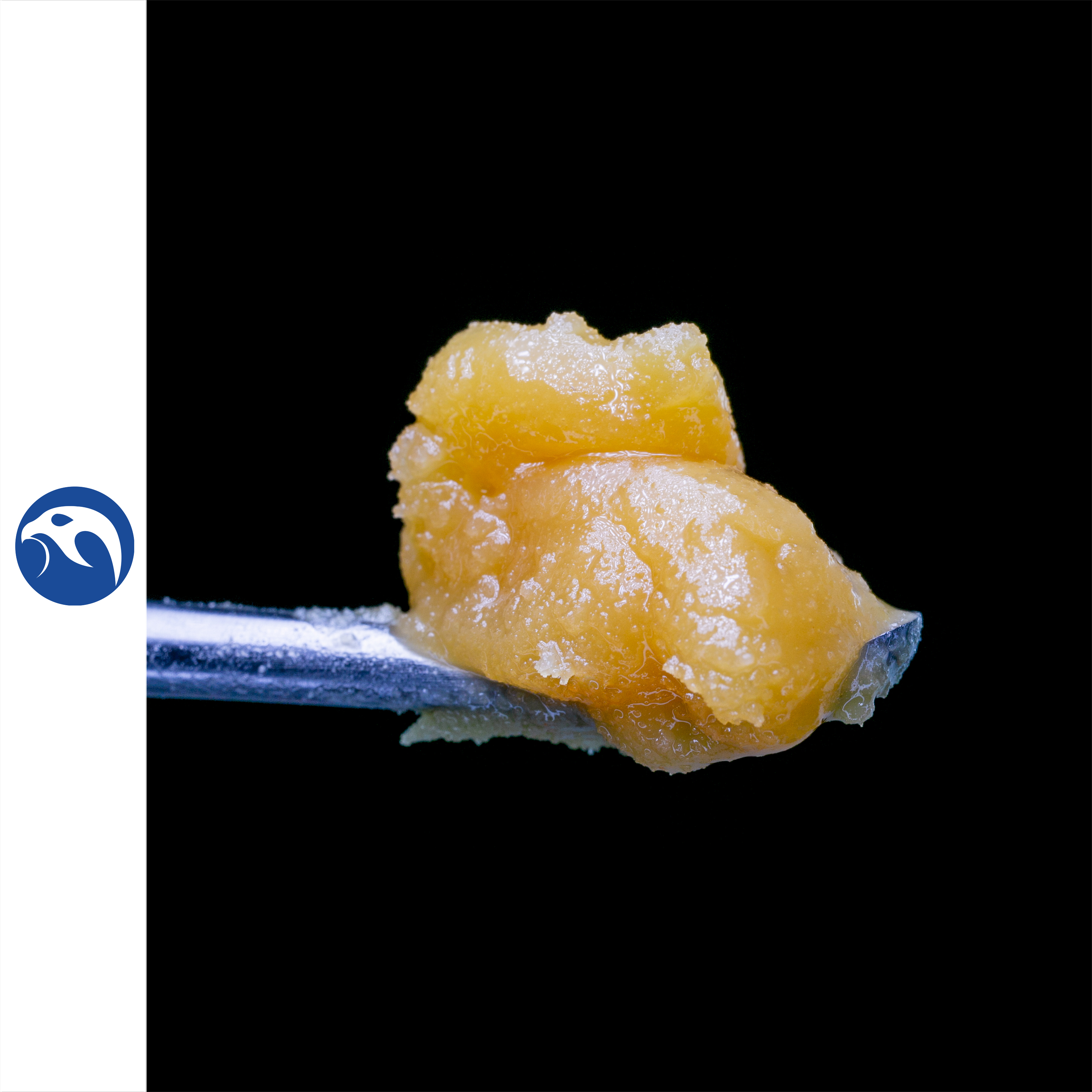 Falcanna Pacific Purple - Craft Cannabis Dispensary