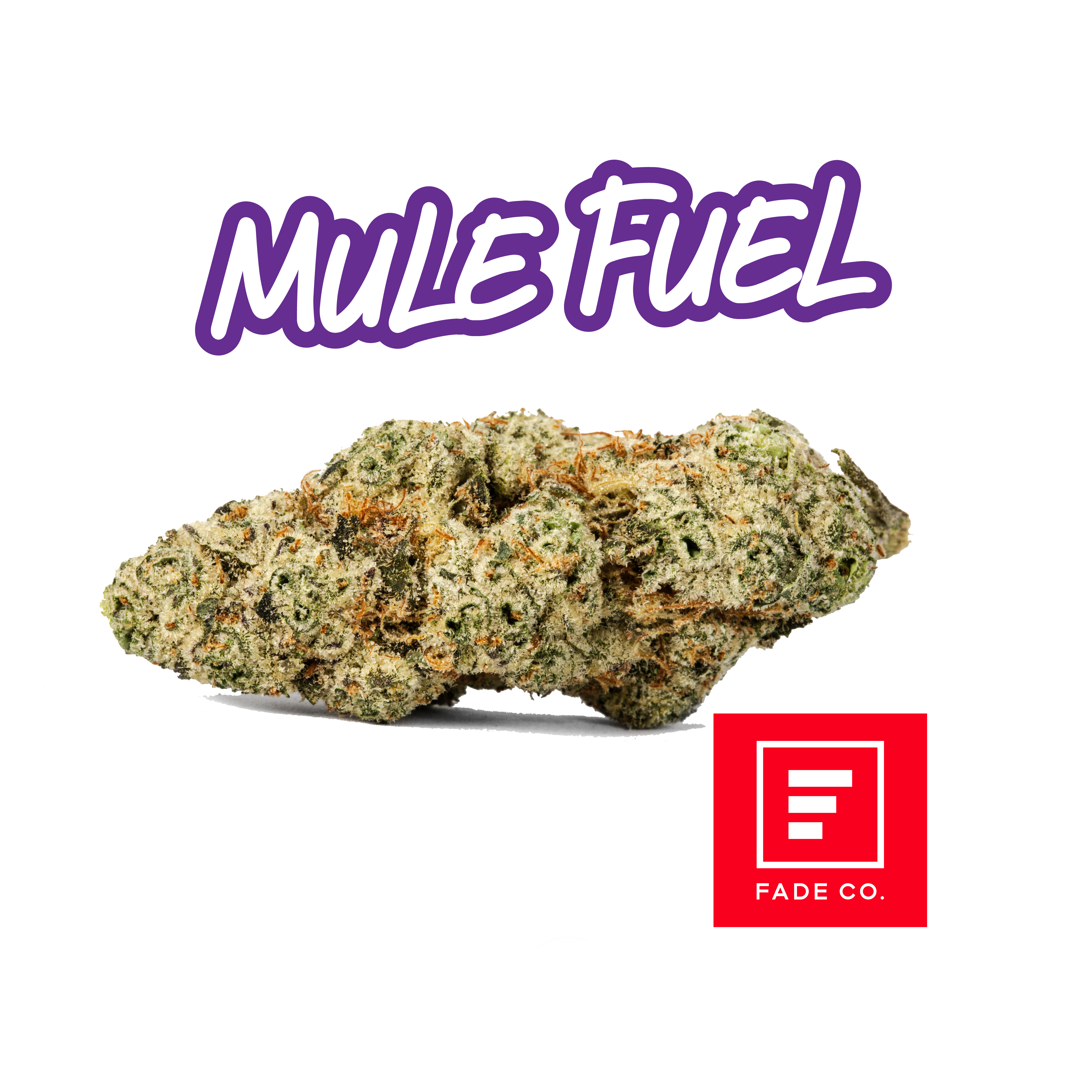 Mule Fuel - 3.5g Whole Buds - Hybrid | Fade Co. | Bloom