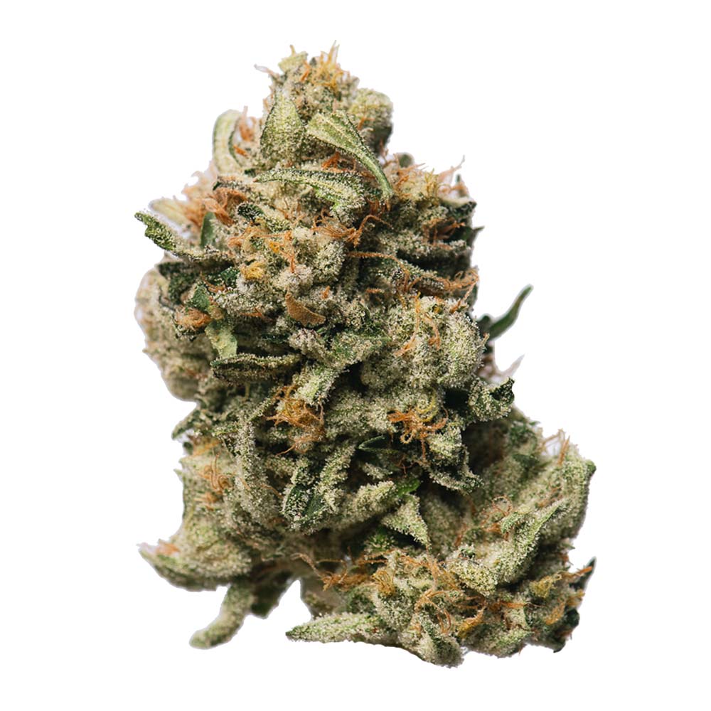 Roxanne | Proper Cannabis - Jane Roxanne | Proper Cannabis - Jane