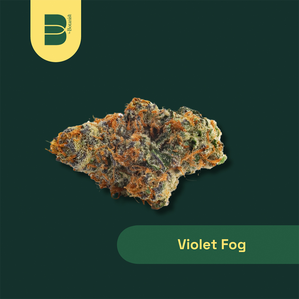 Violet Fog | The Botanist | Whole Flower - Jane