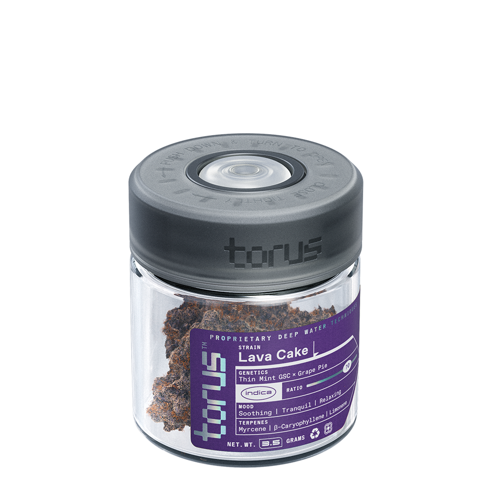 Lava Cake | Torus | B Grade - Jane