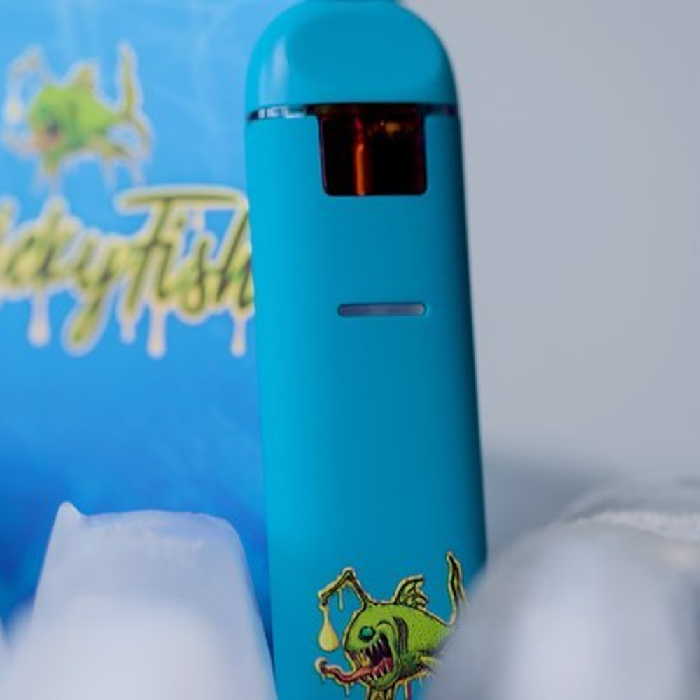 Guava Berry Sticky Fish Disposable[500mg] | Sticky Fish | Disposable - Jane