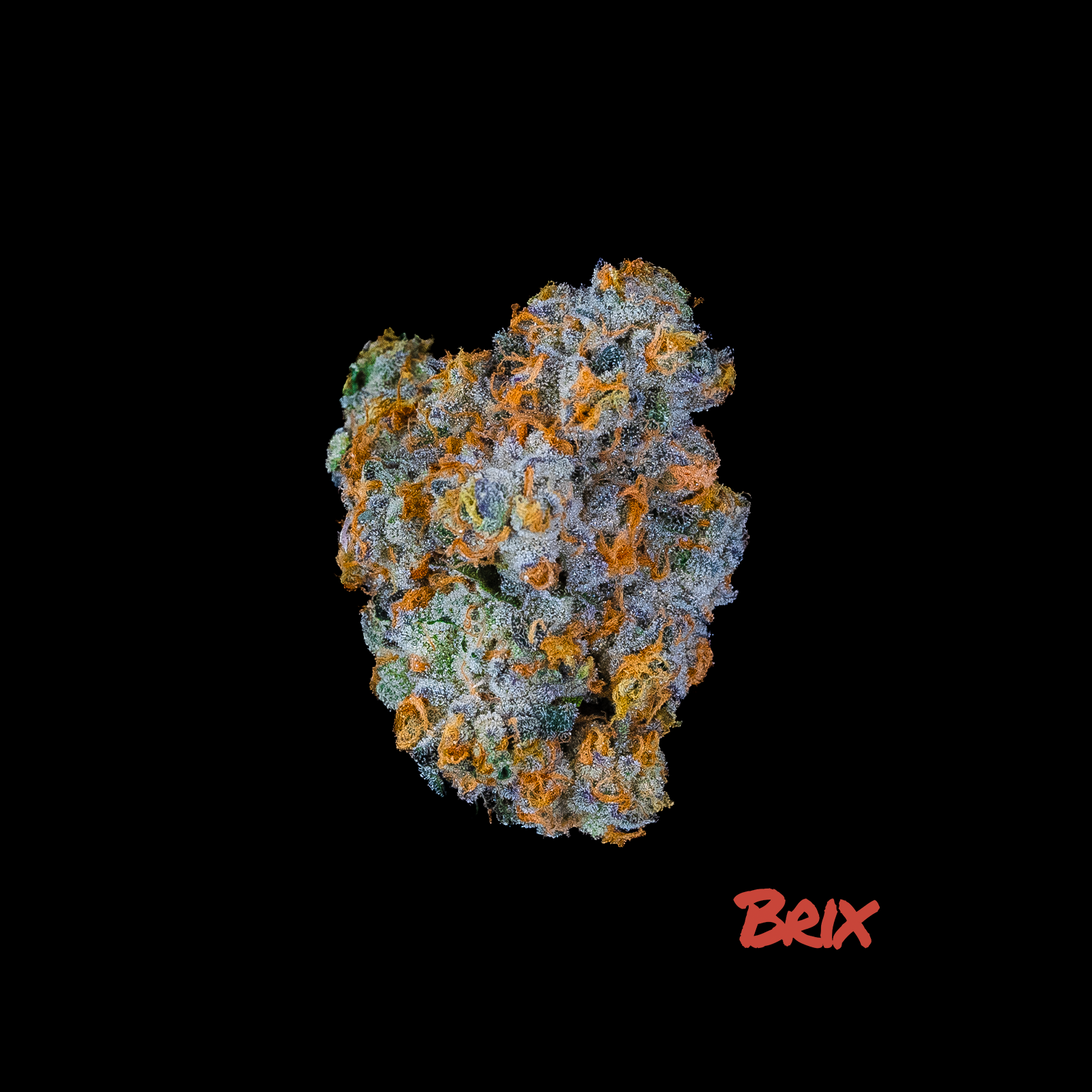 Shop BRIX Cannabis - Gary P (H) Flower C0101000344 | Fine Fettle ...