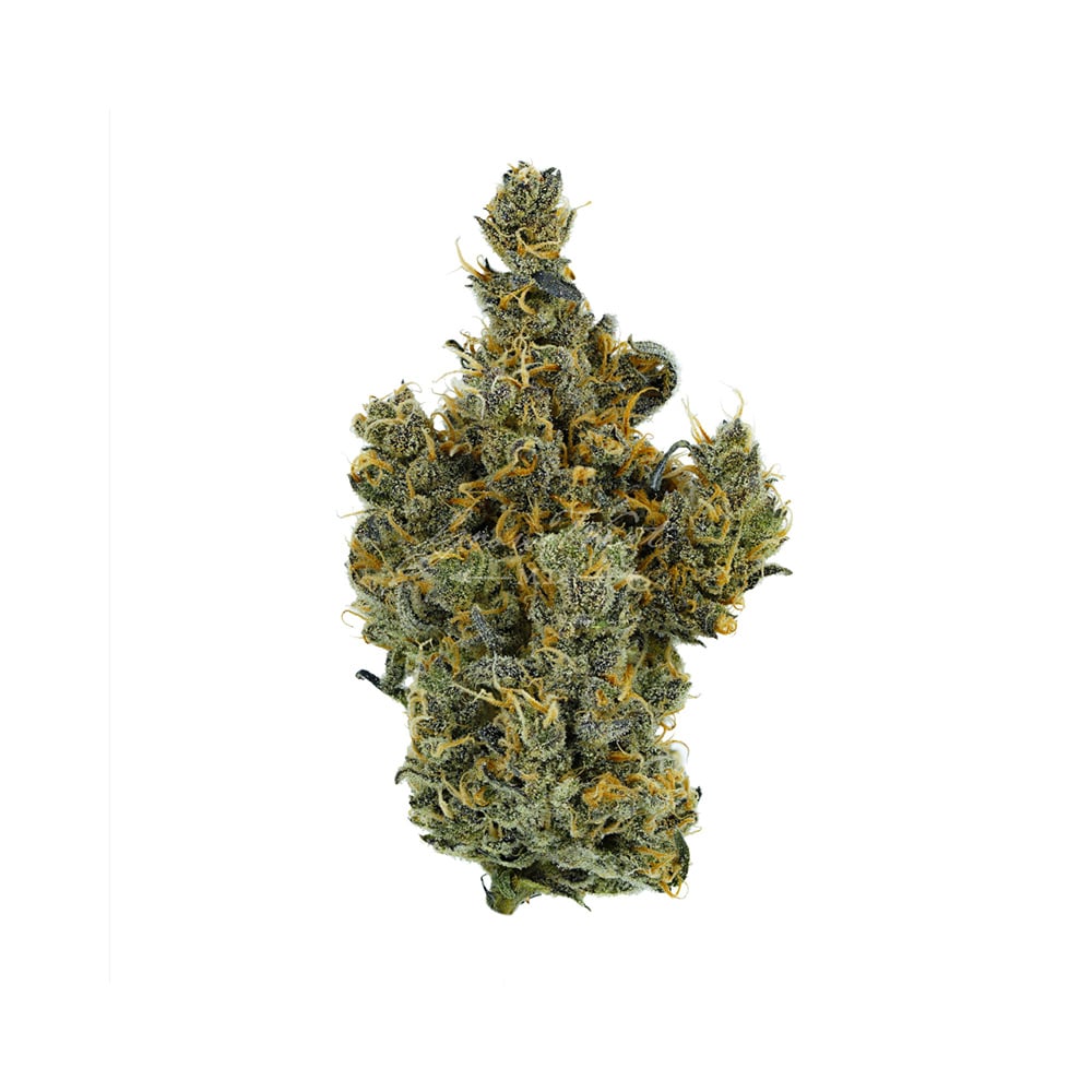 Shop Blu Christmas | Caroline Pharma (REC) Dispensary Federalsburg, MD