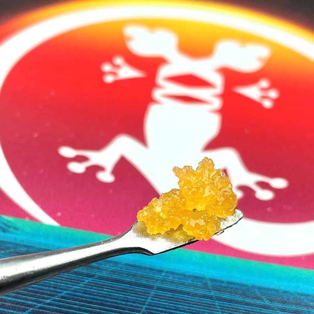 Cookie Cake | Newt Brothers | Axolotl Nug Run Sugar Wax - Jane