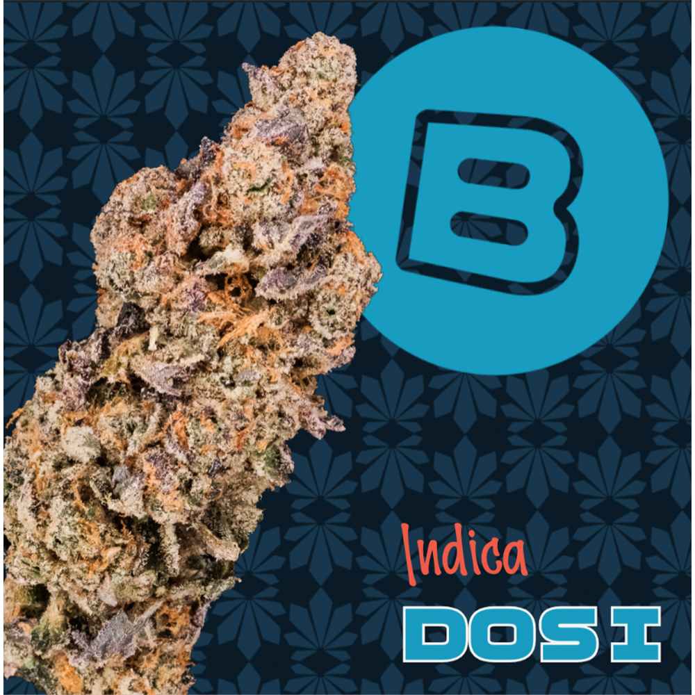 Dosi - 14.15g Whole Buds - Indica | Buckeye | Bloom