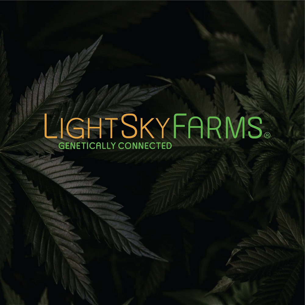 Peanut Butter Sunshine | Lightsky Farms | Shake - Jane