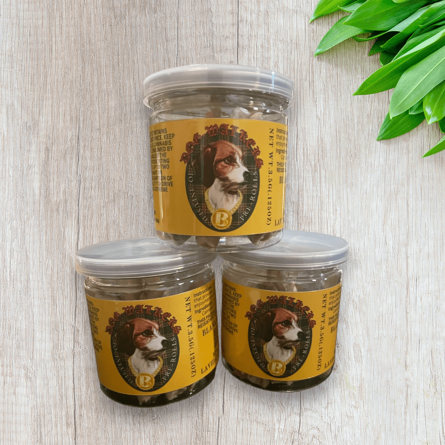 Golden Goat [.35g] | Blank Brand | 10 Pack Infused Dog Walker Pre Rolls ...