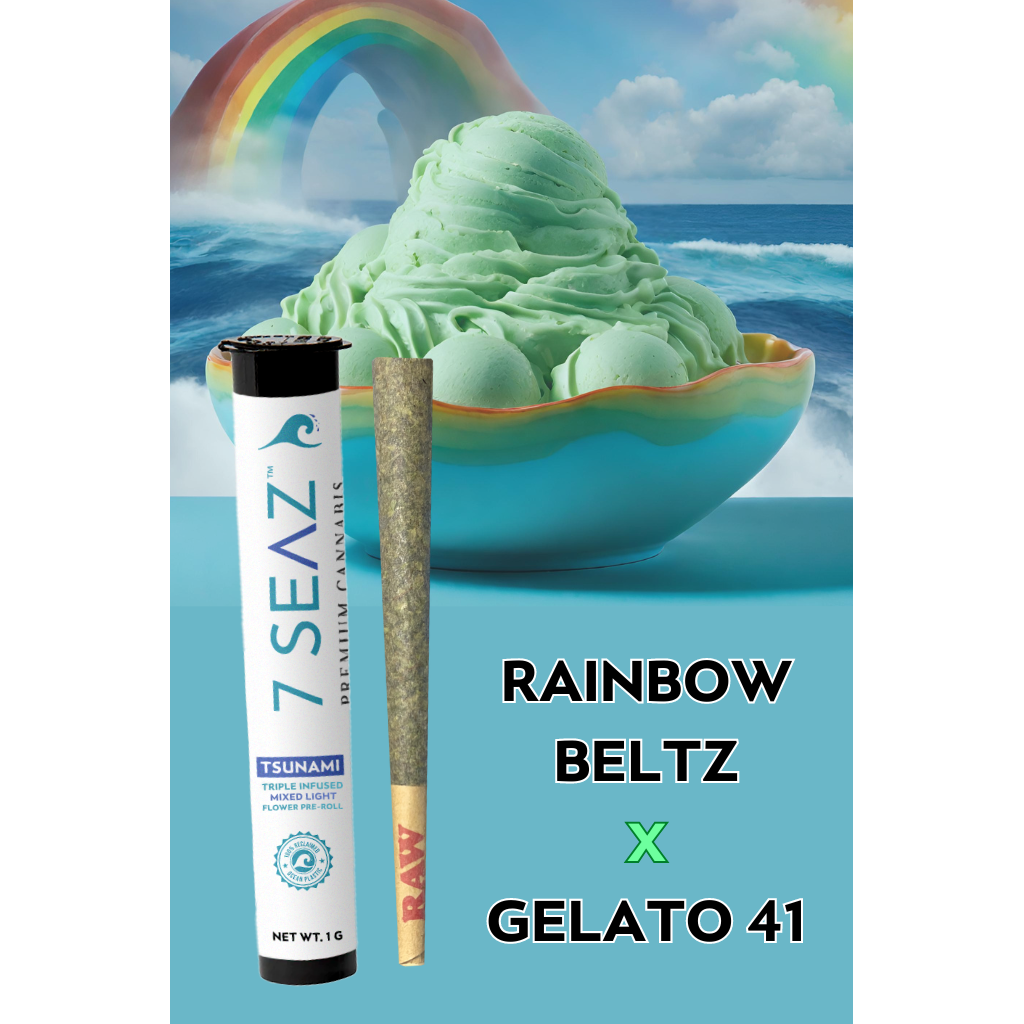 Rainbow Beltz x Gelato 41 [1g] undefined - New-york, East Syracuse ...